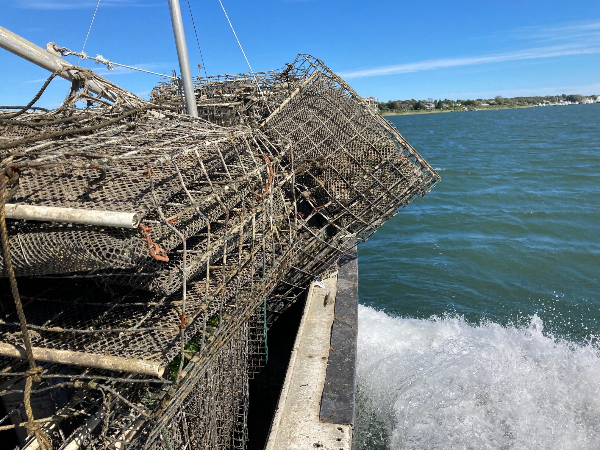 Shellfish Farmers: Aquaculture Leases - East Hampton Town Trustees