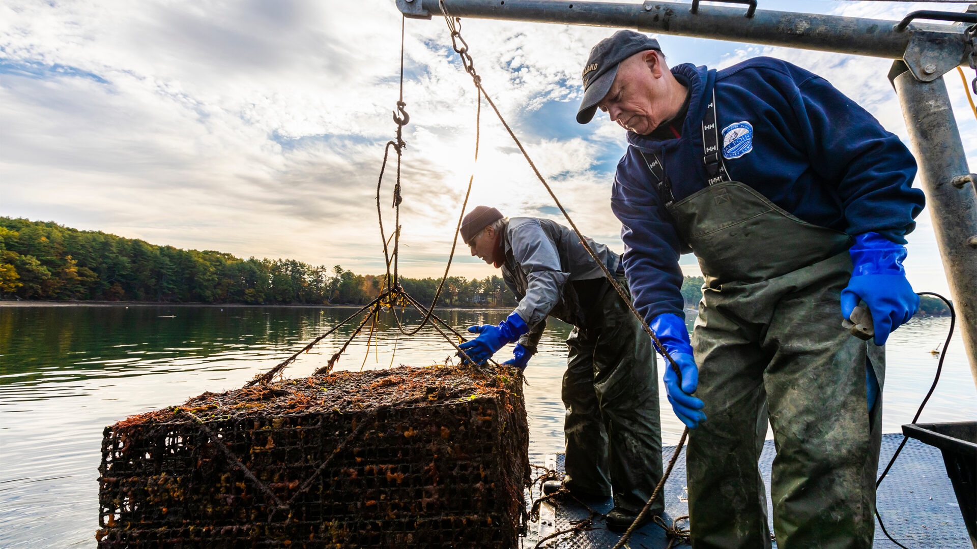 SOAR : Supporting Oyster Aquaculture Restoration – New Market for ...