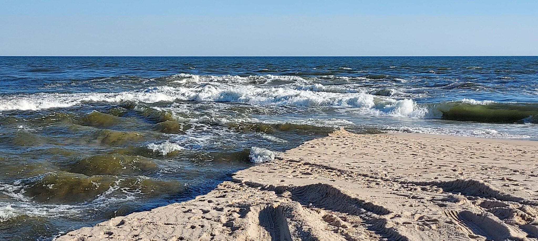 The Opening of Georgica Pond - East Hampton Town Trustees