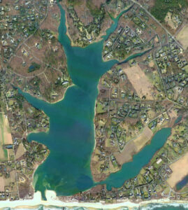 Georgica Pond: First Blue-Green Algae Bloom – No Crabbing for health ...