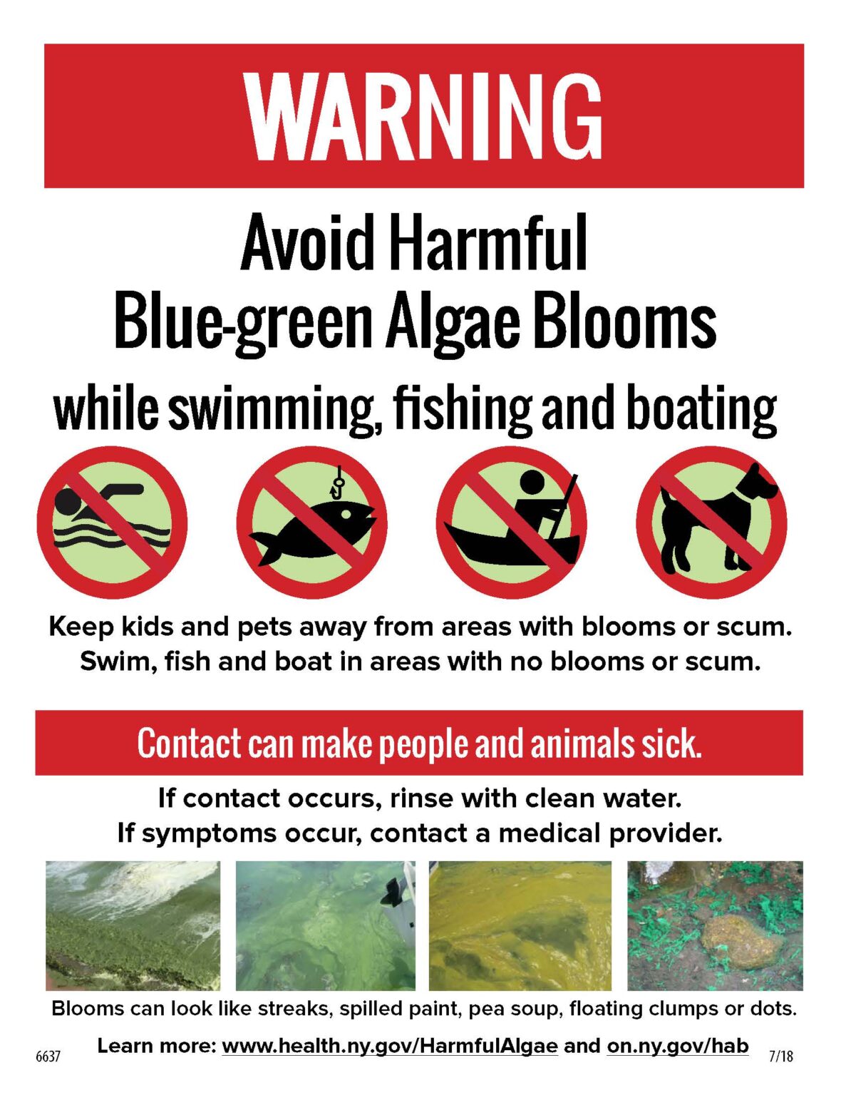 Cyanobacteria Bloom in Georgica Pond - East Hampton Town Trustees